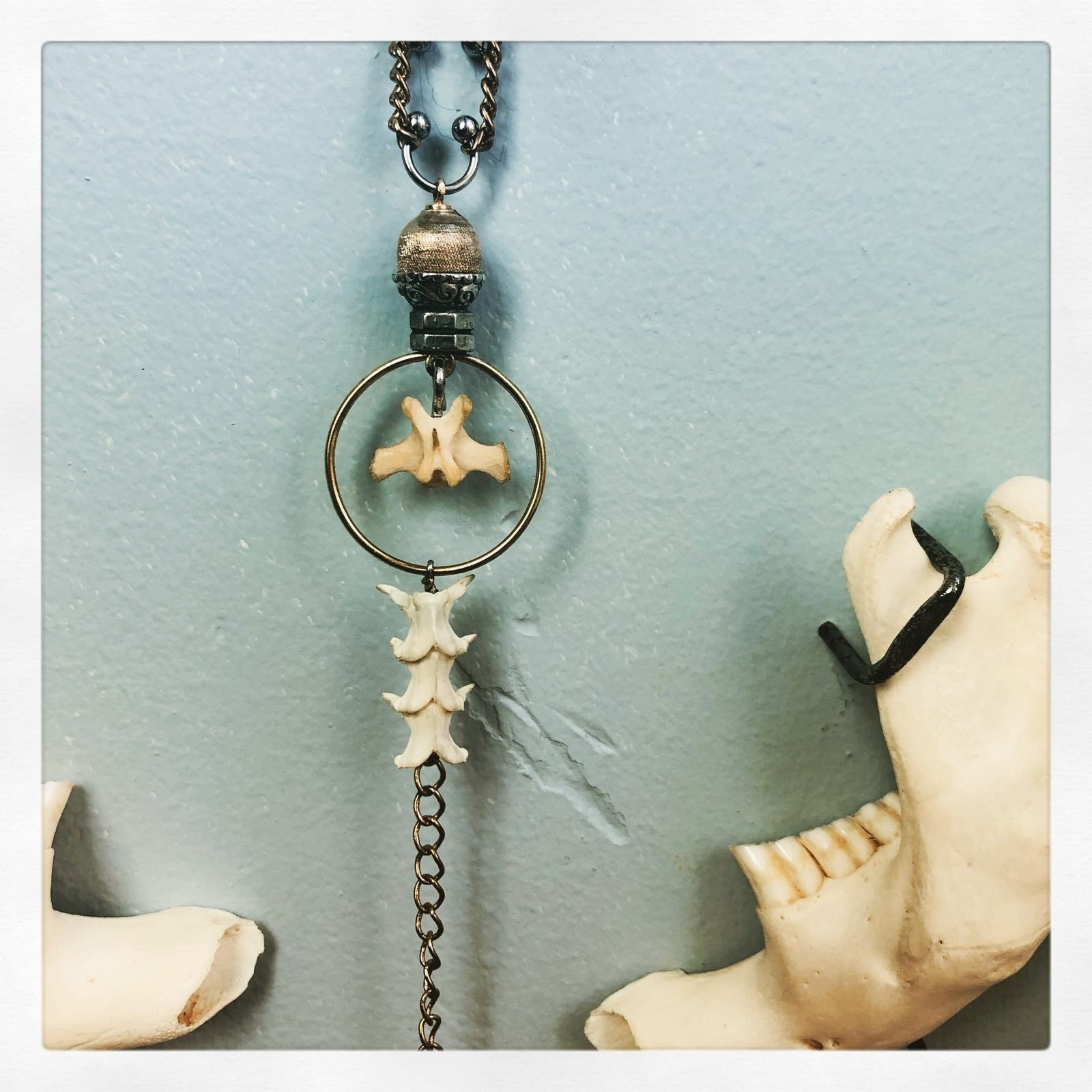 Snake Vertebrae Bone Necklace Jewelry, Goblincore, Cottagecore, Witchy ...