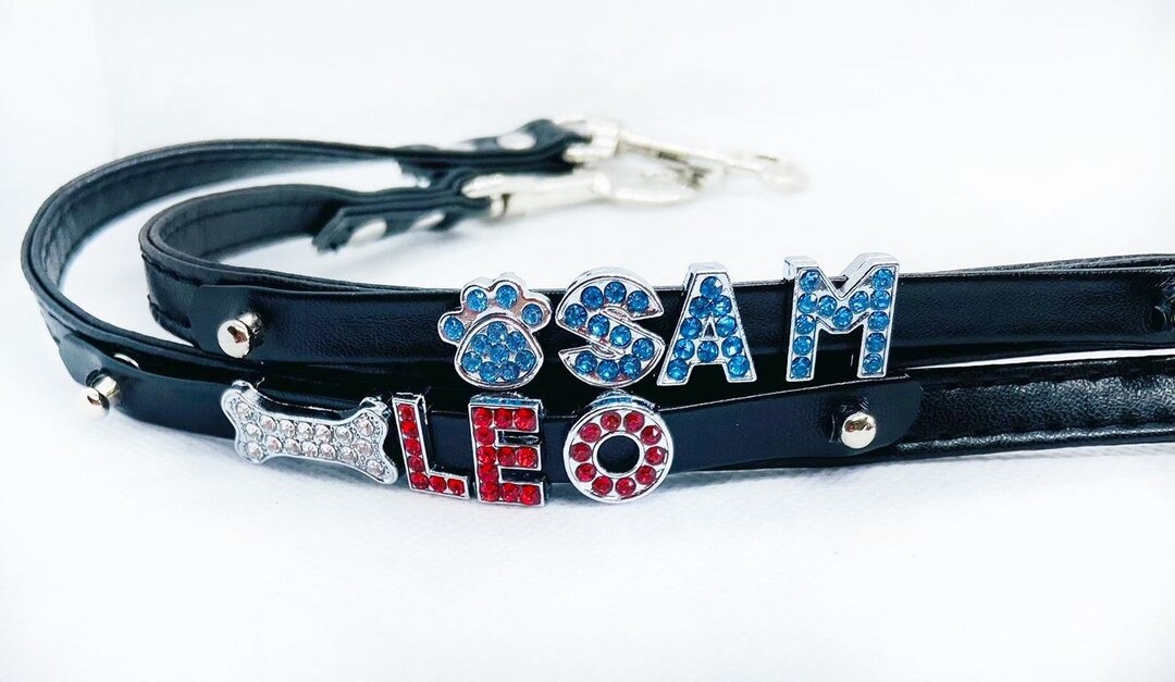 Custom Name Dog Leash! Personalized Pet Lead! Dog Leash Rhinestone ...