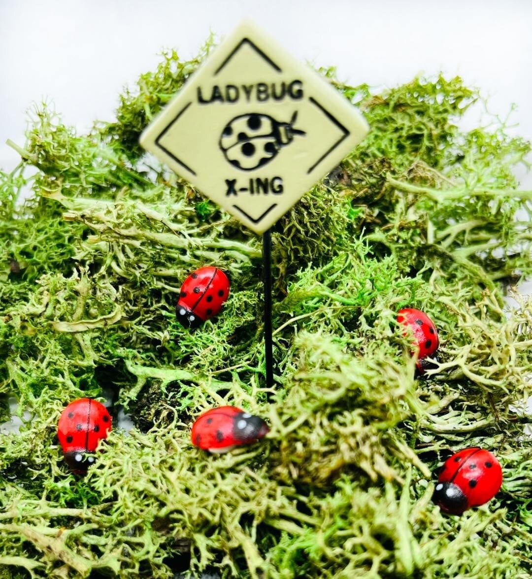Fairy Garden Ladybugs, Miniature Ladybug Sign for Terrariums, Fairy ...