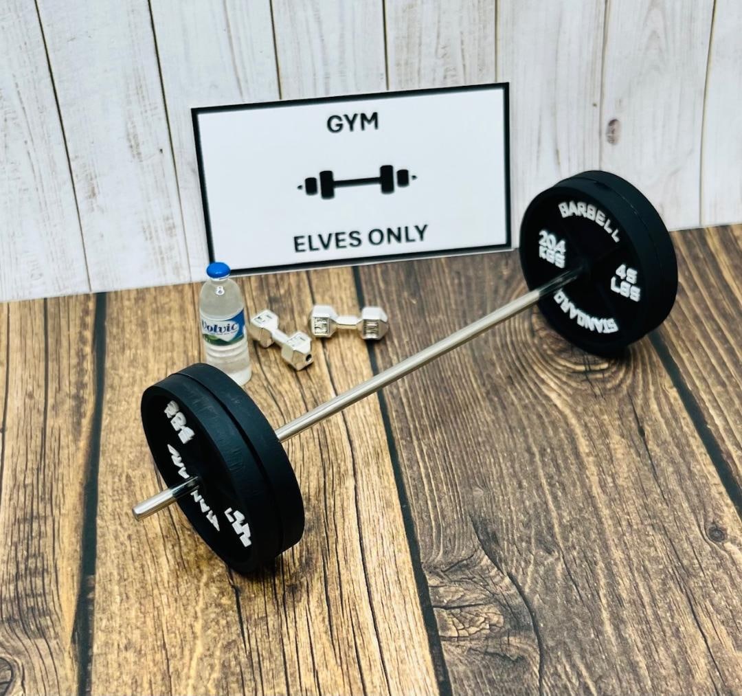 1:6 Scale Gym Equipment, Miniature Barbells, Dollhouse Weights ...