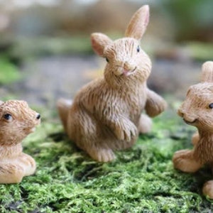 Fairy Garden Rabbit Cage Miniature Chicken Coup Dioramas Terrarium ...