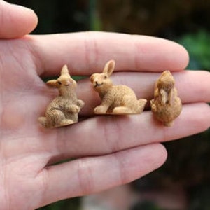 Fairy Garden Rabbit Cage Miniature Chicken Coup Dioramas Terrarium ...
