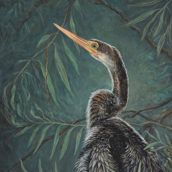 Anhinga - Etsy