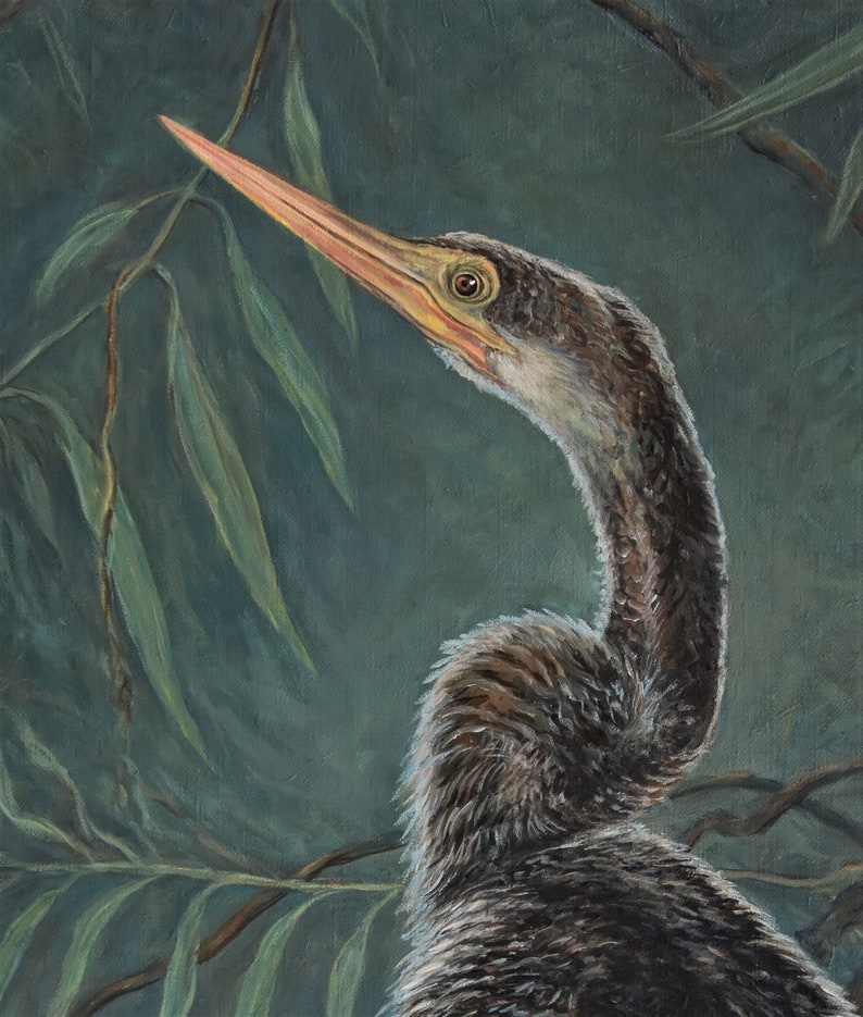 Beautiful Oil Painting ~ Anhinga Bird Portrait - Etsy