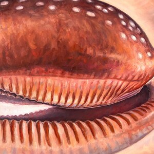 Large 24" X 36" Deer Cowrie Seashell Oil Painting - Etsy