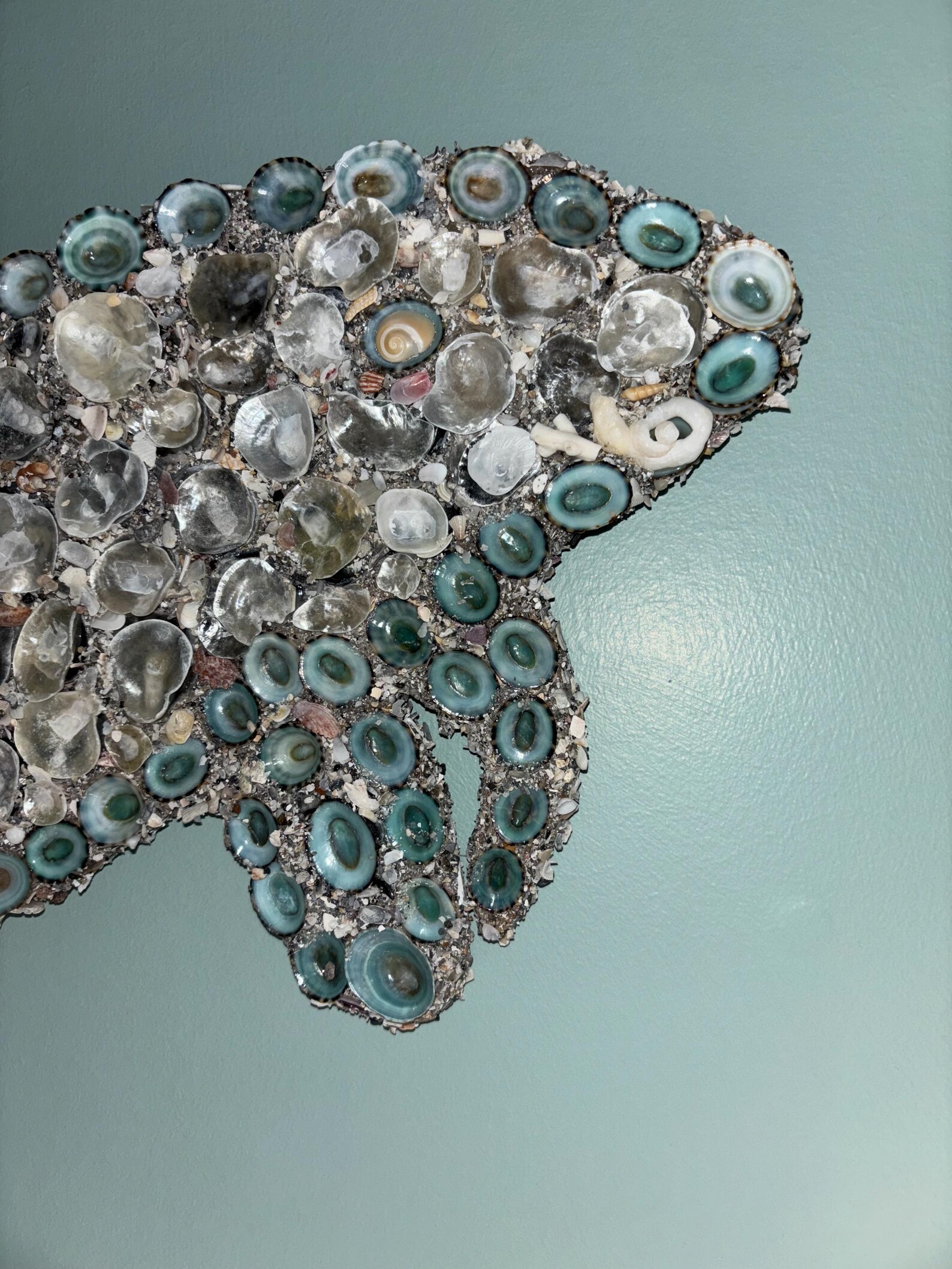 15" Seashell Shell Encrusted Manatee Wall Hanging - Etsy