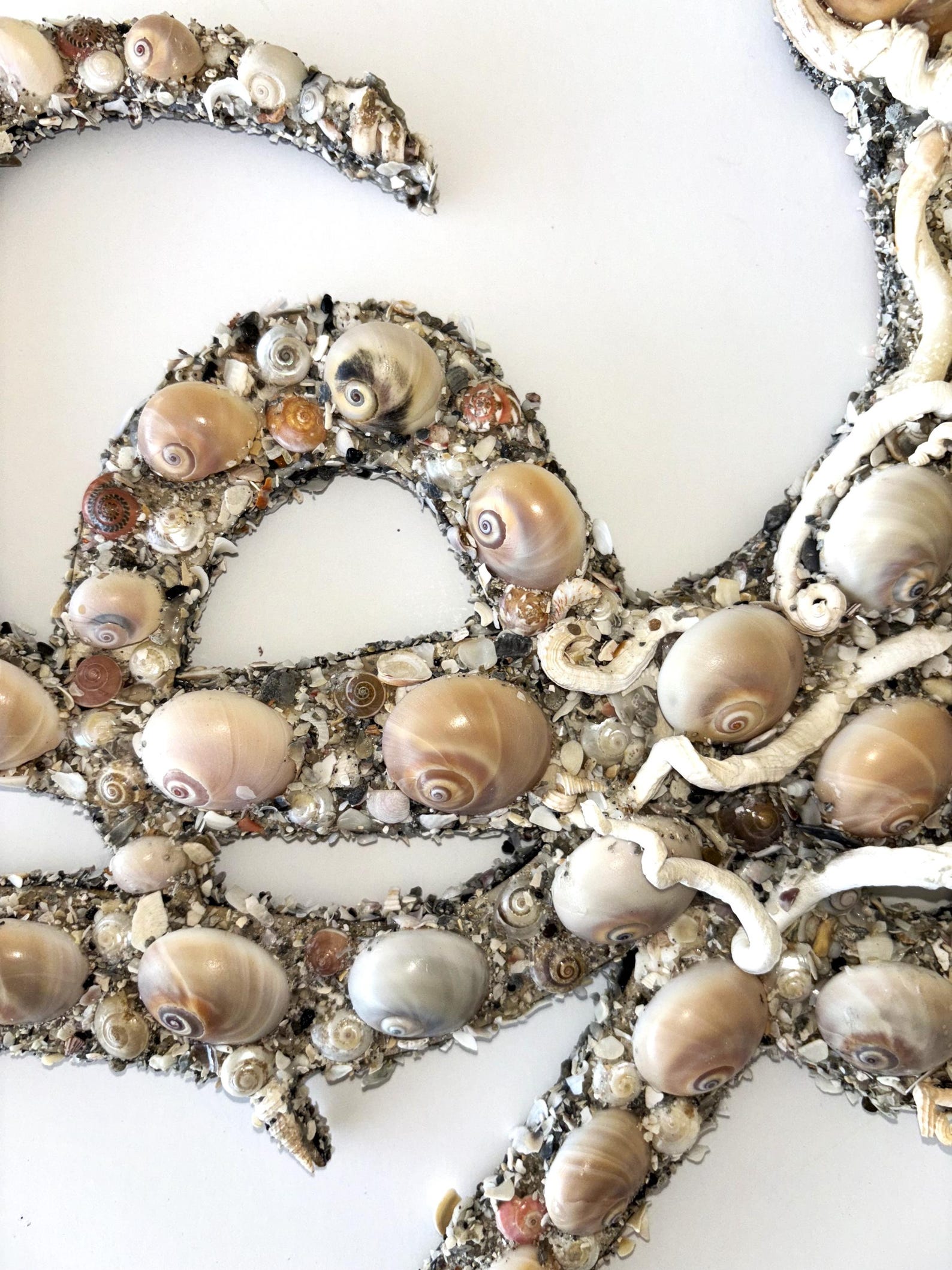 21" Seashell Shell Encrusted Octopus Wall Hanging - Etsy