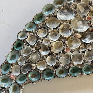 15" Seashell Shell Encrusted Manatee Wall Hanging - Etsy