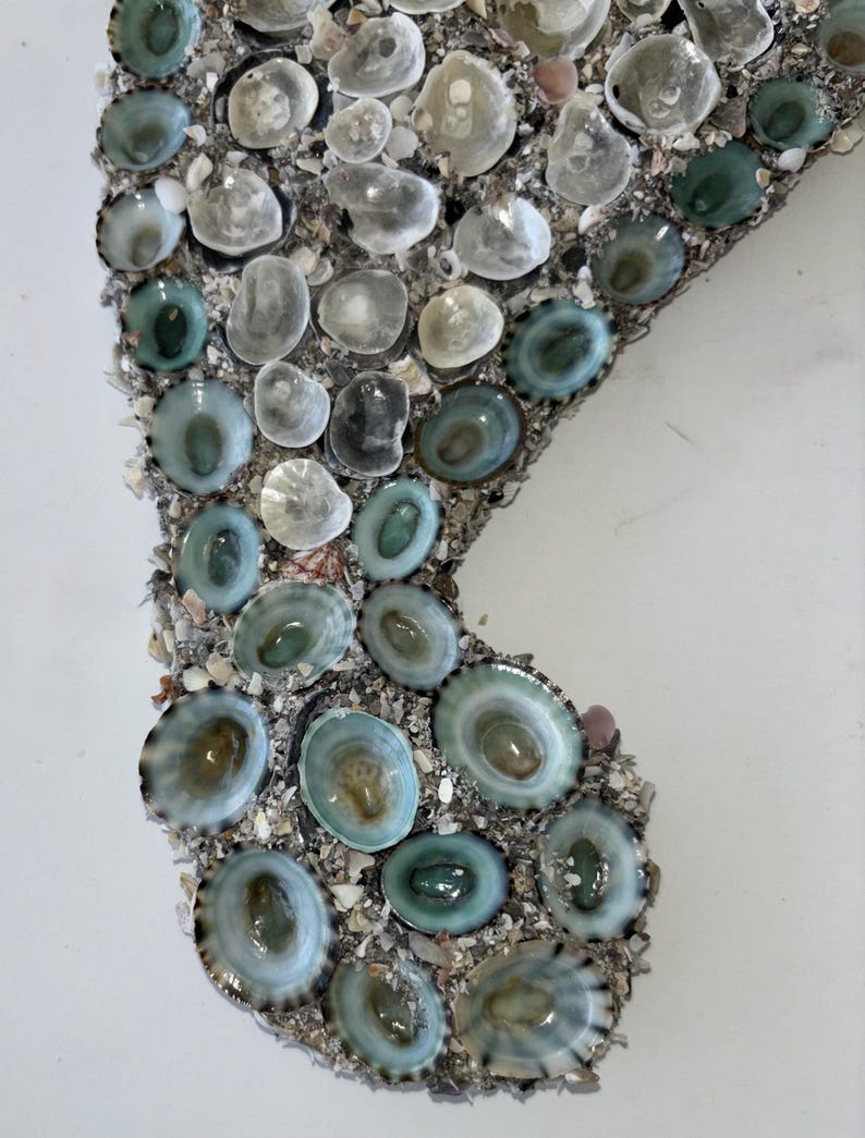 15" Seashell Shell Encrusted Manatee Wall Hanging - Etsy