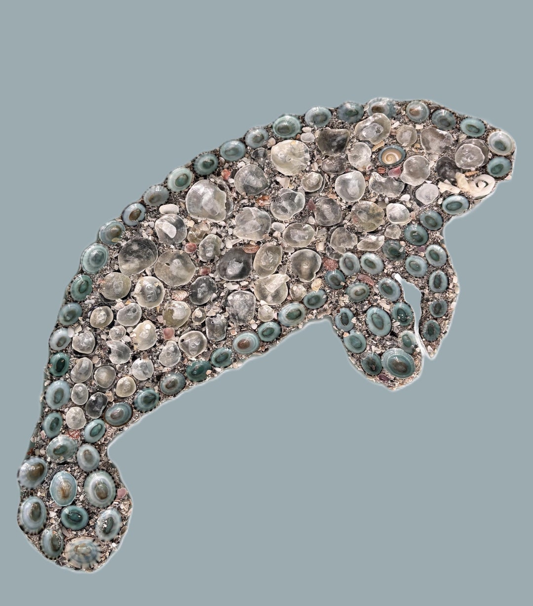 15" Seashell Shell Encrusted Manatee Wall Hanging - Etsy