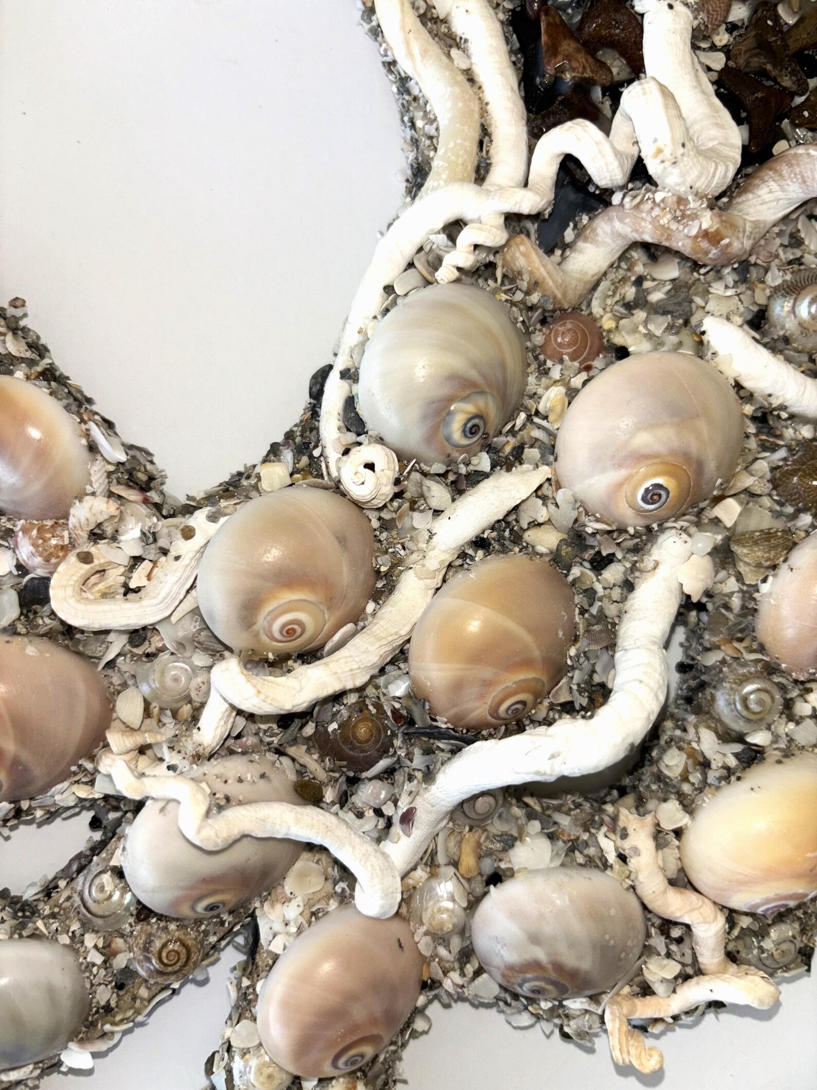 21" Seashell Shell Encrusted Octopus Wall Hanging - Etsy