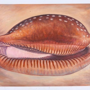 Large 24 X 36 Deer Cowrie Seashell Oil Painting - Etsy