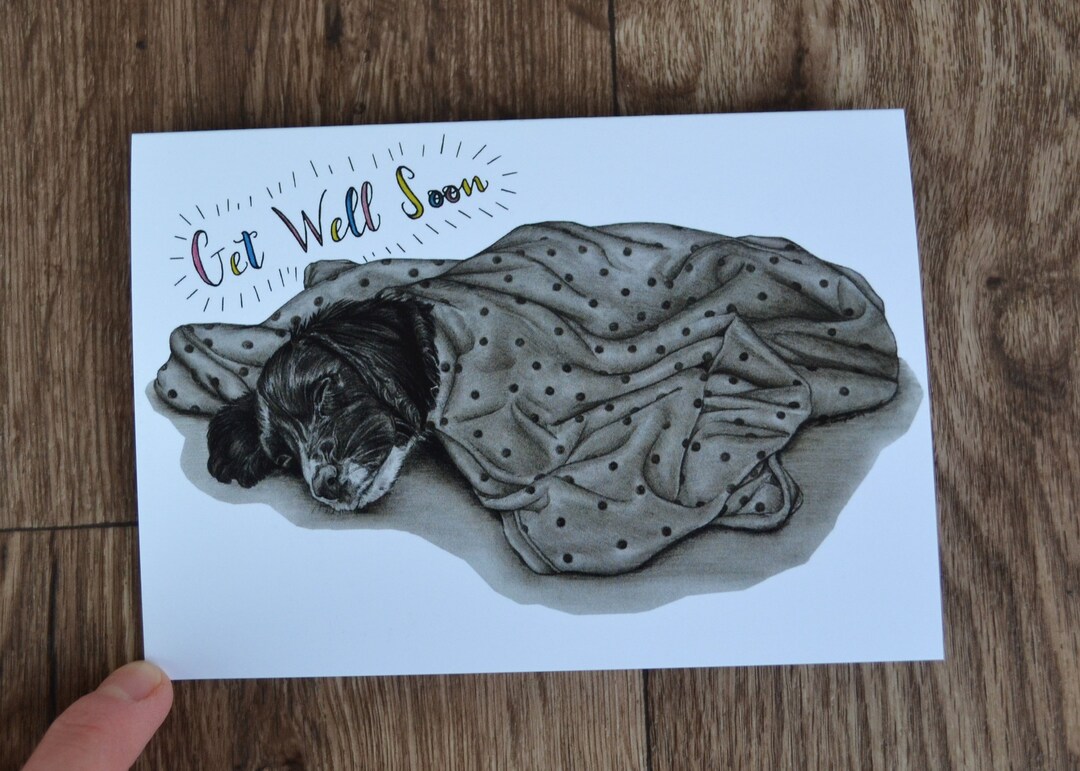 Get Well Soon, Stacey and the Springer, Illustrated A6 Folded ...