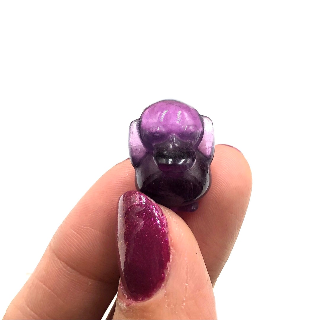 Fluorite Psy C Psychic Duck Pocket Creature Mini Polished - Etsy
