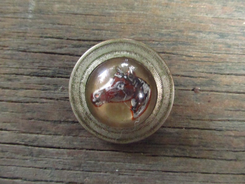 Antique Brass Horse Rosette Pin Victorian Glass Horse Tack - Etsy
