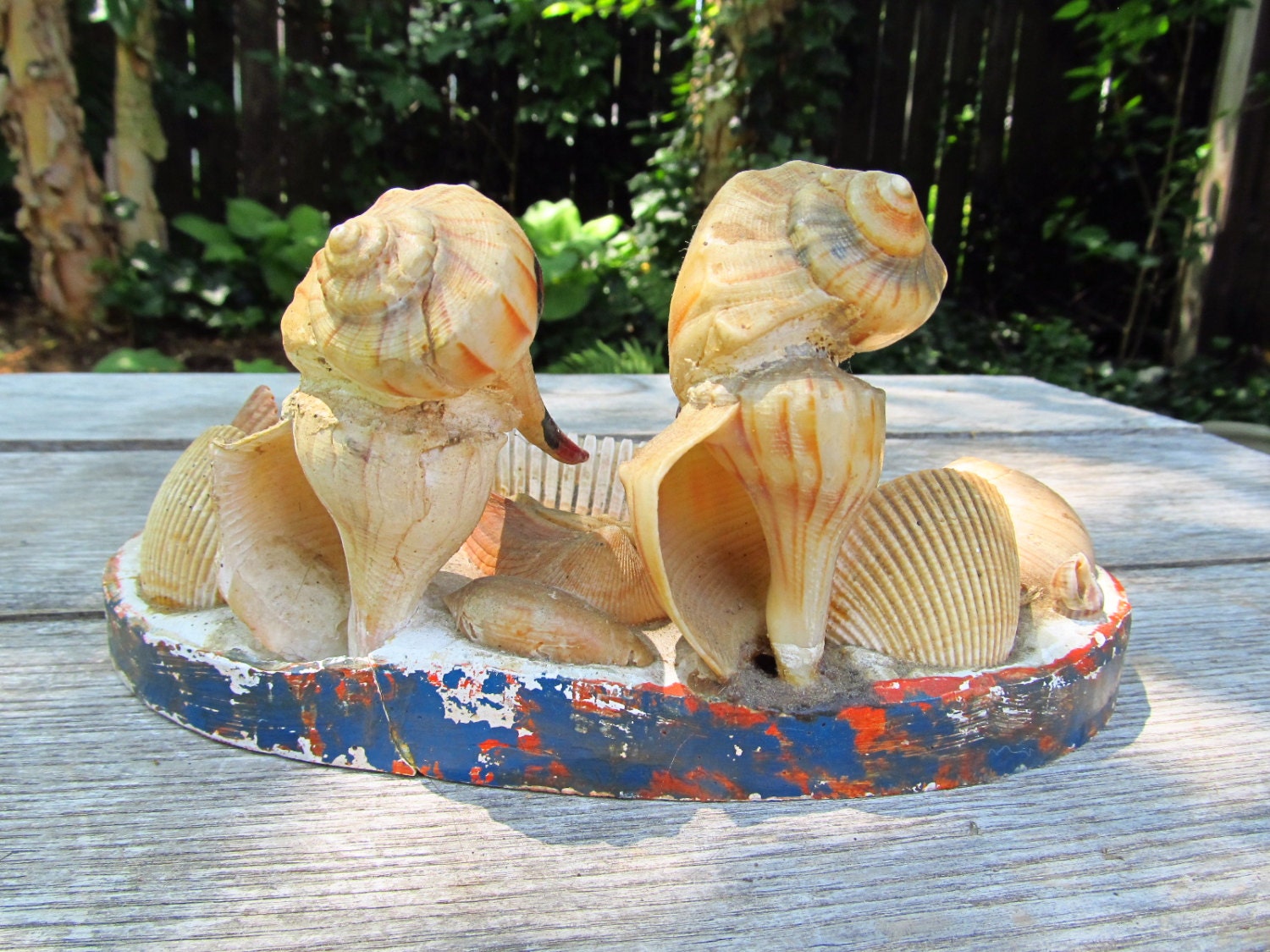 Vintage Folk Art Shell Birds Shell Birds Trinket Dish - Etsy