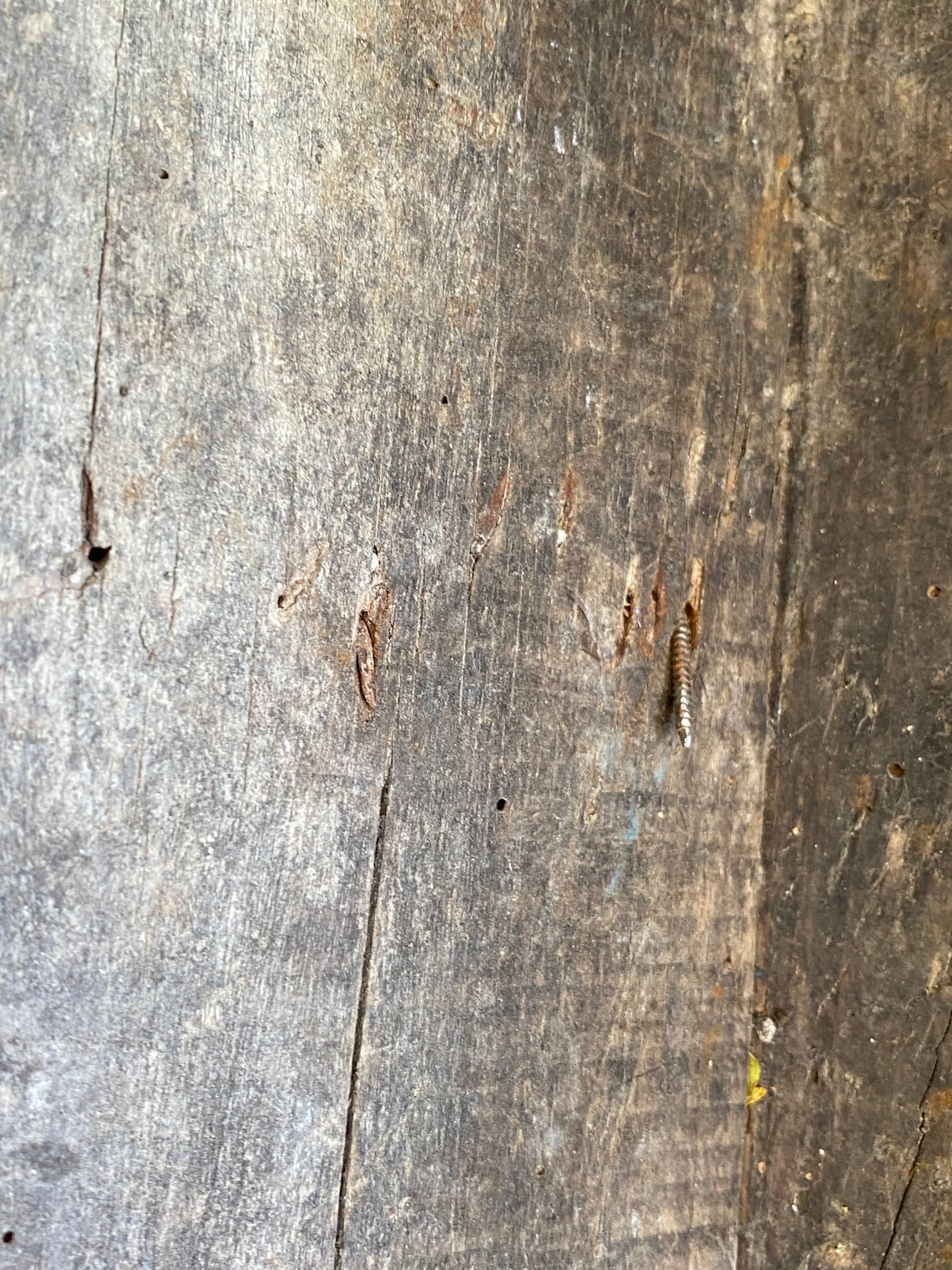 Rustic Rectangular Wood Pail With Steel Strap Handle and Remnant Blue ...