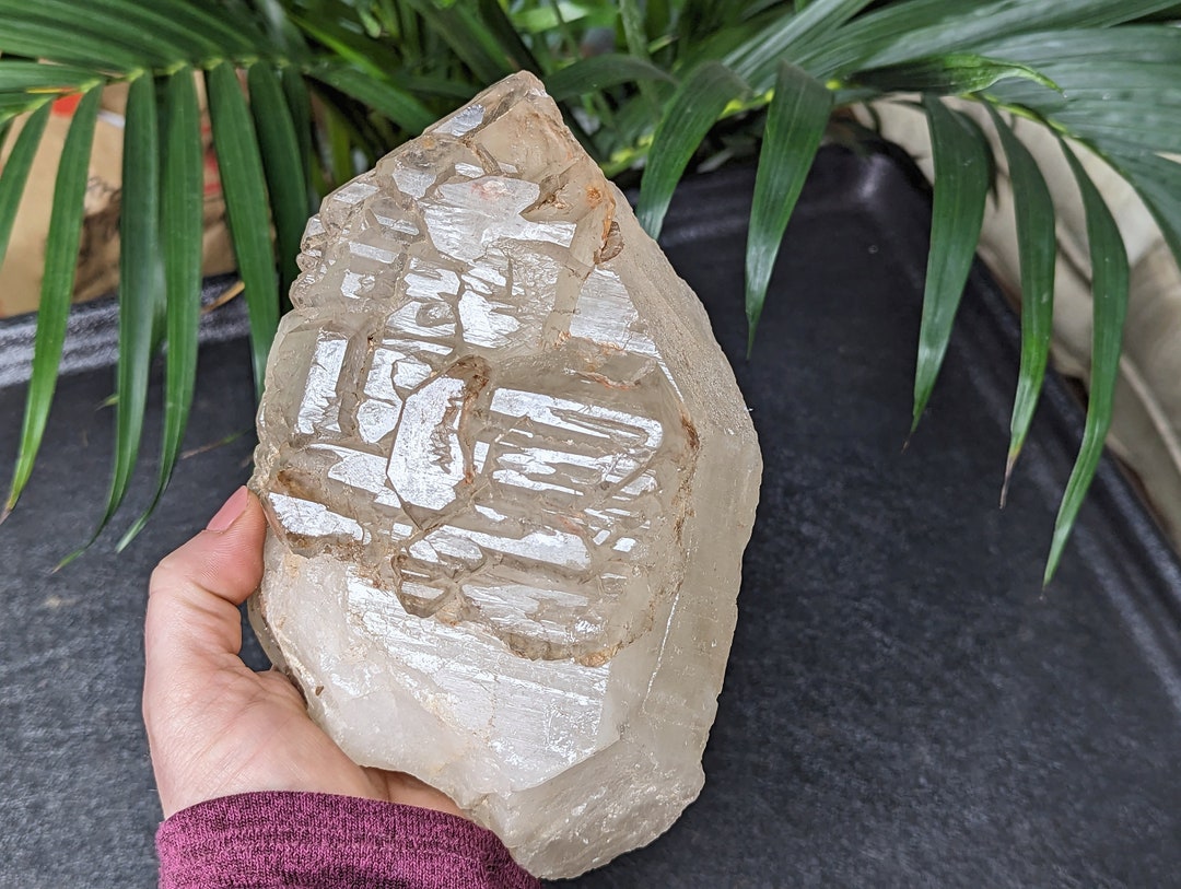5 Lb Smoky Elestial Jacare Alligator Quartz Cluster Large - Etsy