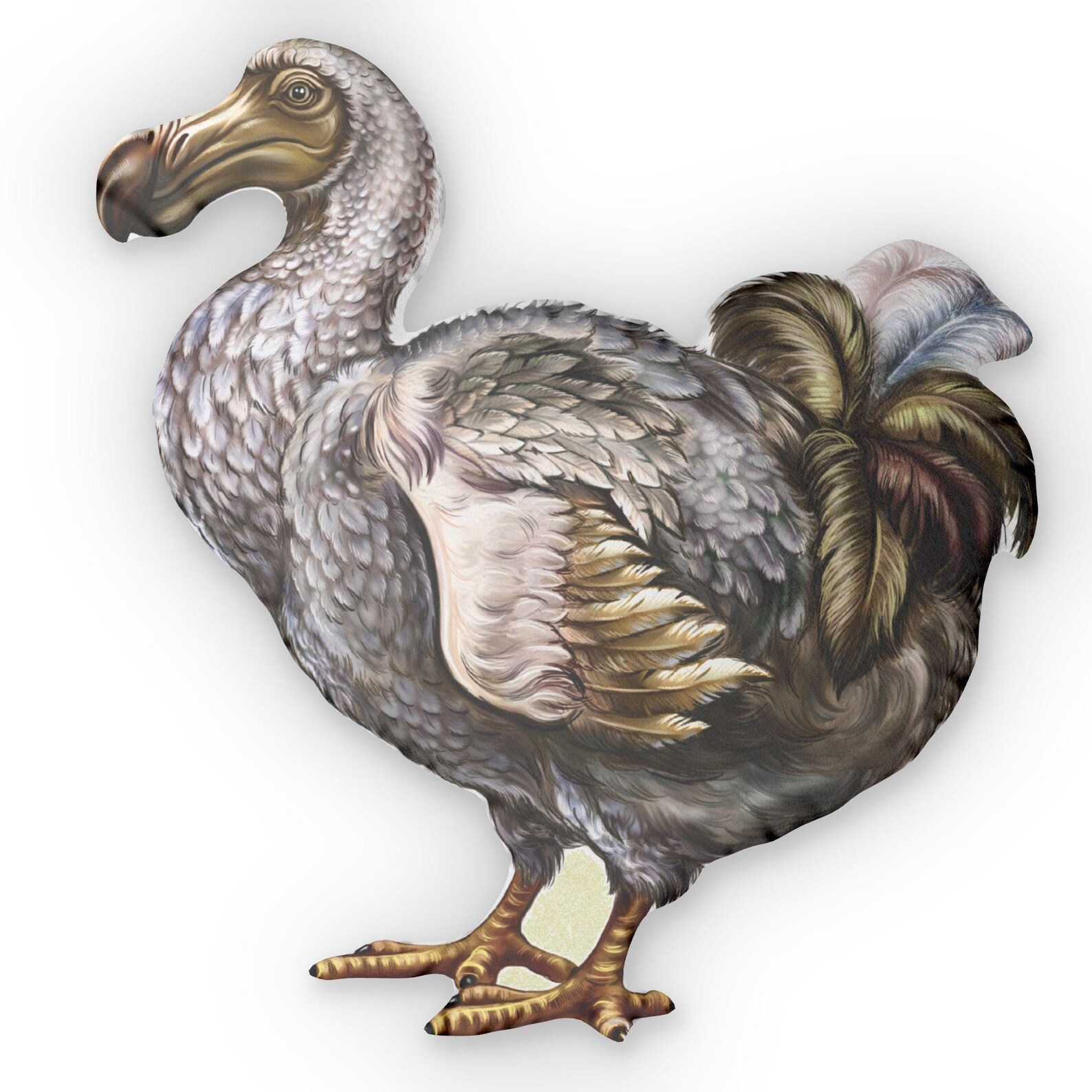Image Pillow Dodo - Decorative Throw Pillow - Etsy