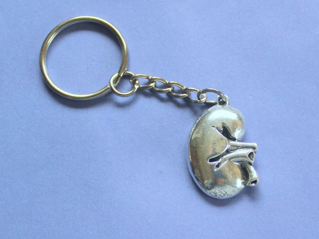 Kidney Keyring,anatomical Kidney Keyring,gift for Doctor,nephrologist ...
