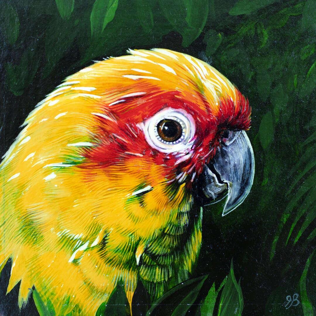Sun Conure - Original Painting - Etsy