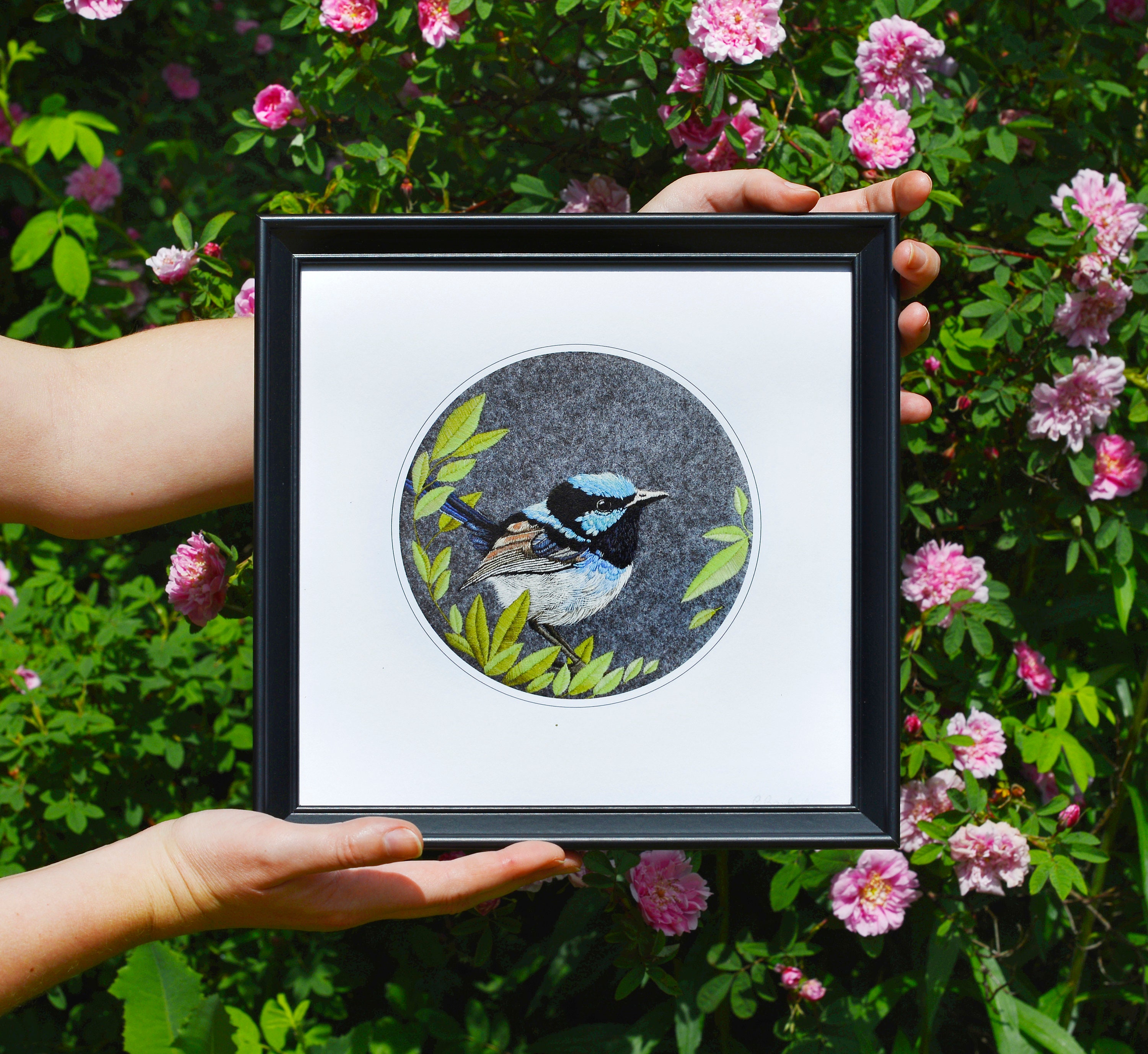 Superb Fairy-wren . Embroidery. PRINT - Etsy