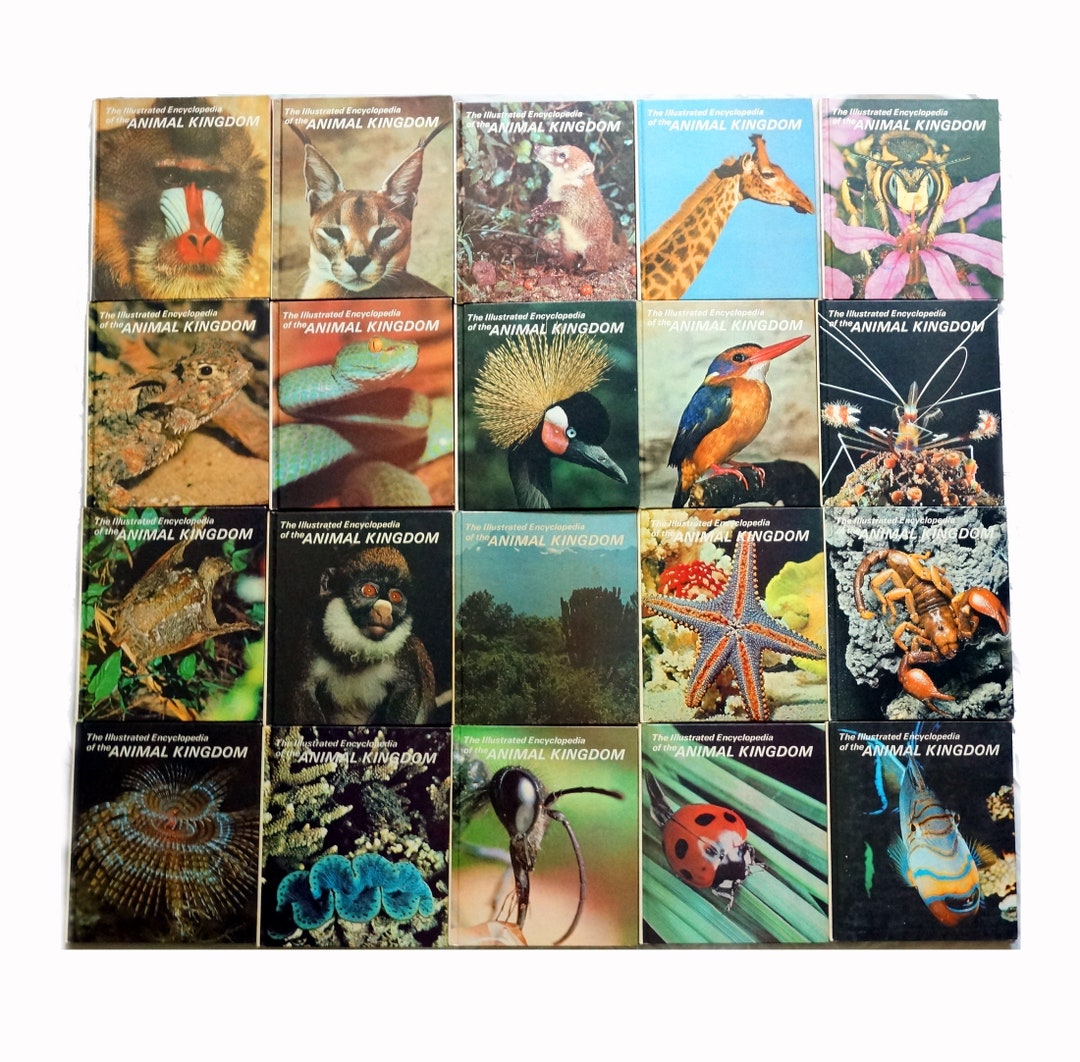 Vintage 'the Illustrated Encyclopedia of the ANIMAL KINGDOM' by the ...