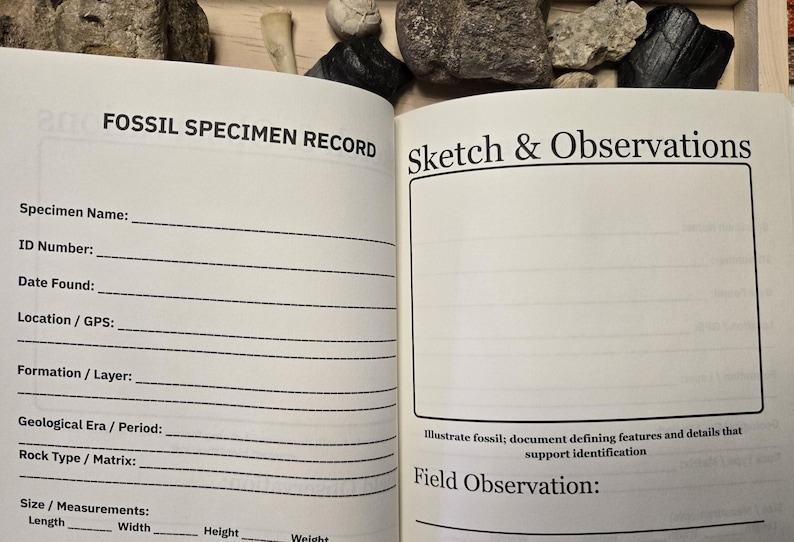 Fossil Field Journal, Paleontology Log Book, Rockhounding Notebook - Etsy