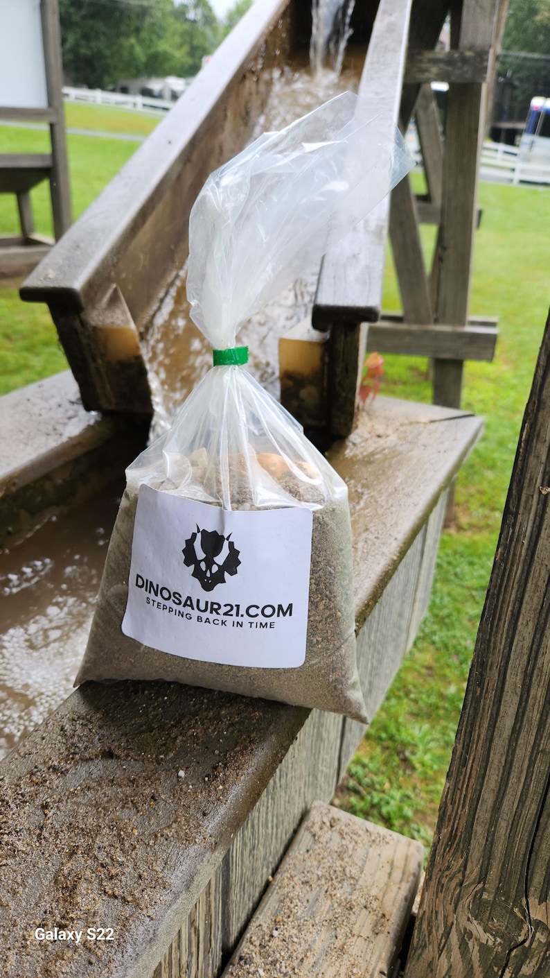 Fossil Dig Kit 5lb- Real Fossils Shark Teeth Dig Kit | Educational STEM ...