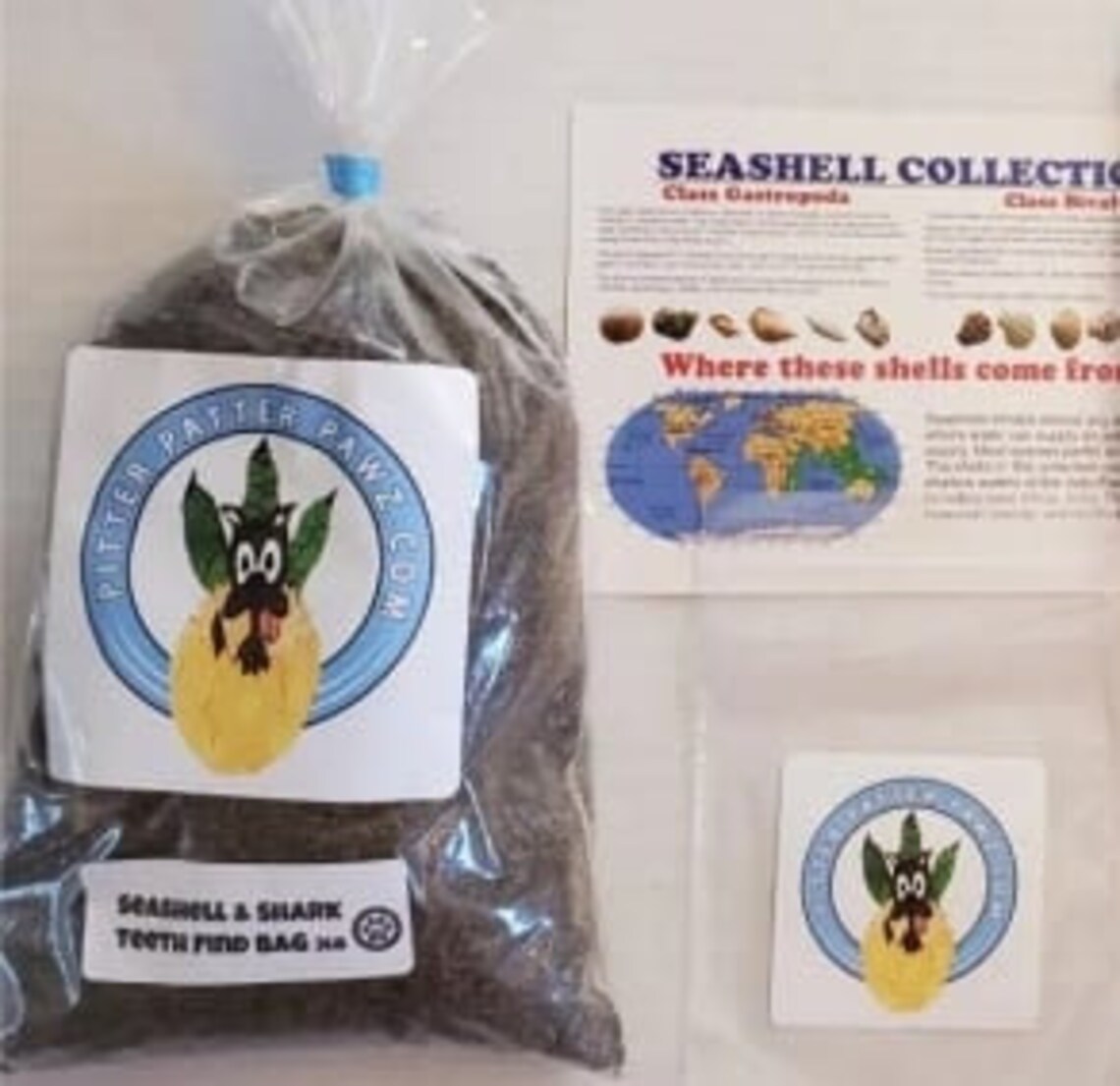 Fossil Seashell & Shark Teeth Set of Mining Bags 3lbs Each - Etsy