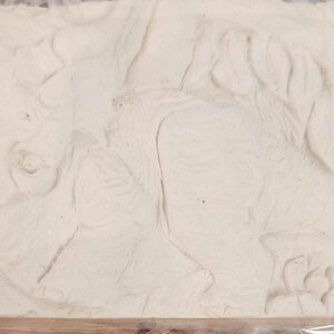 Paint Your Own Dinosaur Paperweight Set: Plaster Dino Kit - Etsy