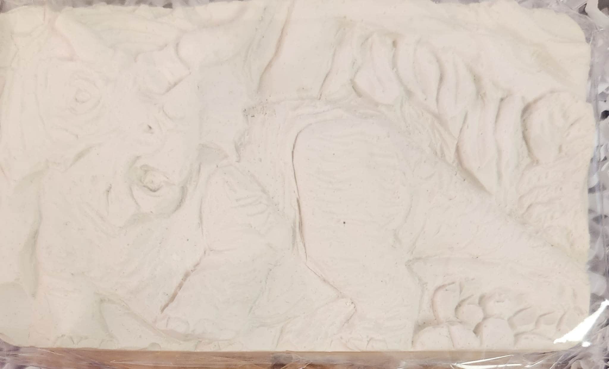 Paint Your Own Dinosaur Paperweight Set: Plaster Dino Kit - Etsy