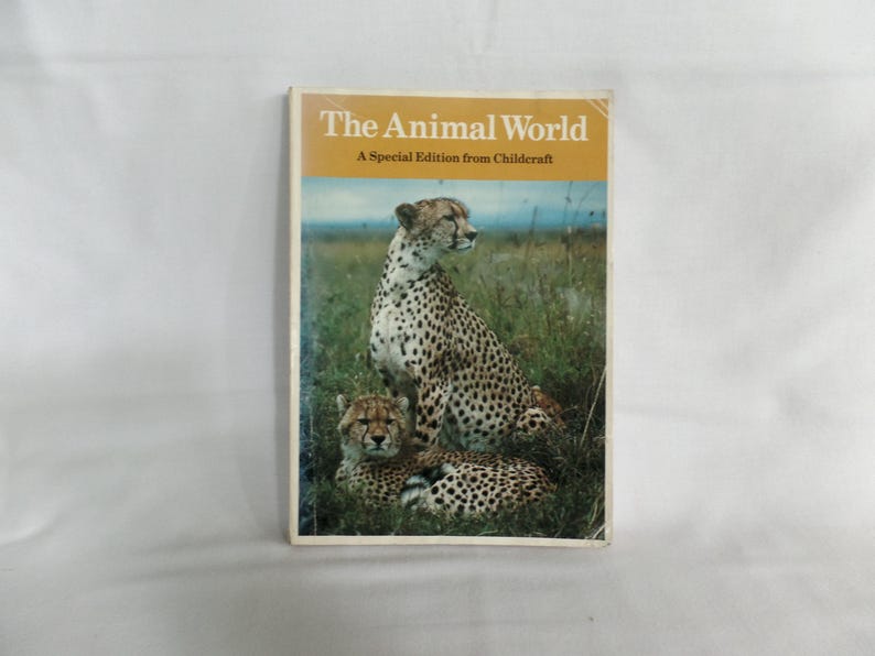 The Animal World, A Special Edition From Childcraft, 1976, Science ...