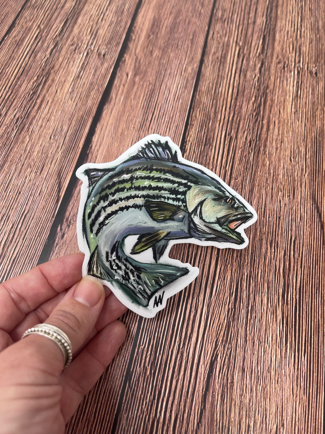 Striped Bass Vinyl Decal Sticker - Etsy