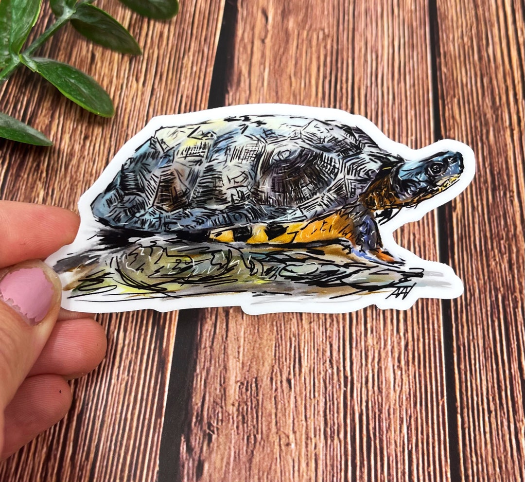 Tortoise Vinyl Decal 4" Sticker - Etsy