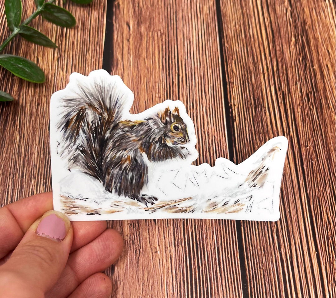 Squirrel Vinyl Decal 4" Sticker - Etsy