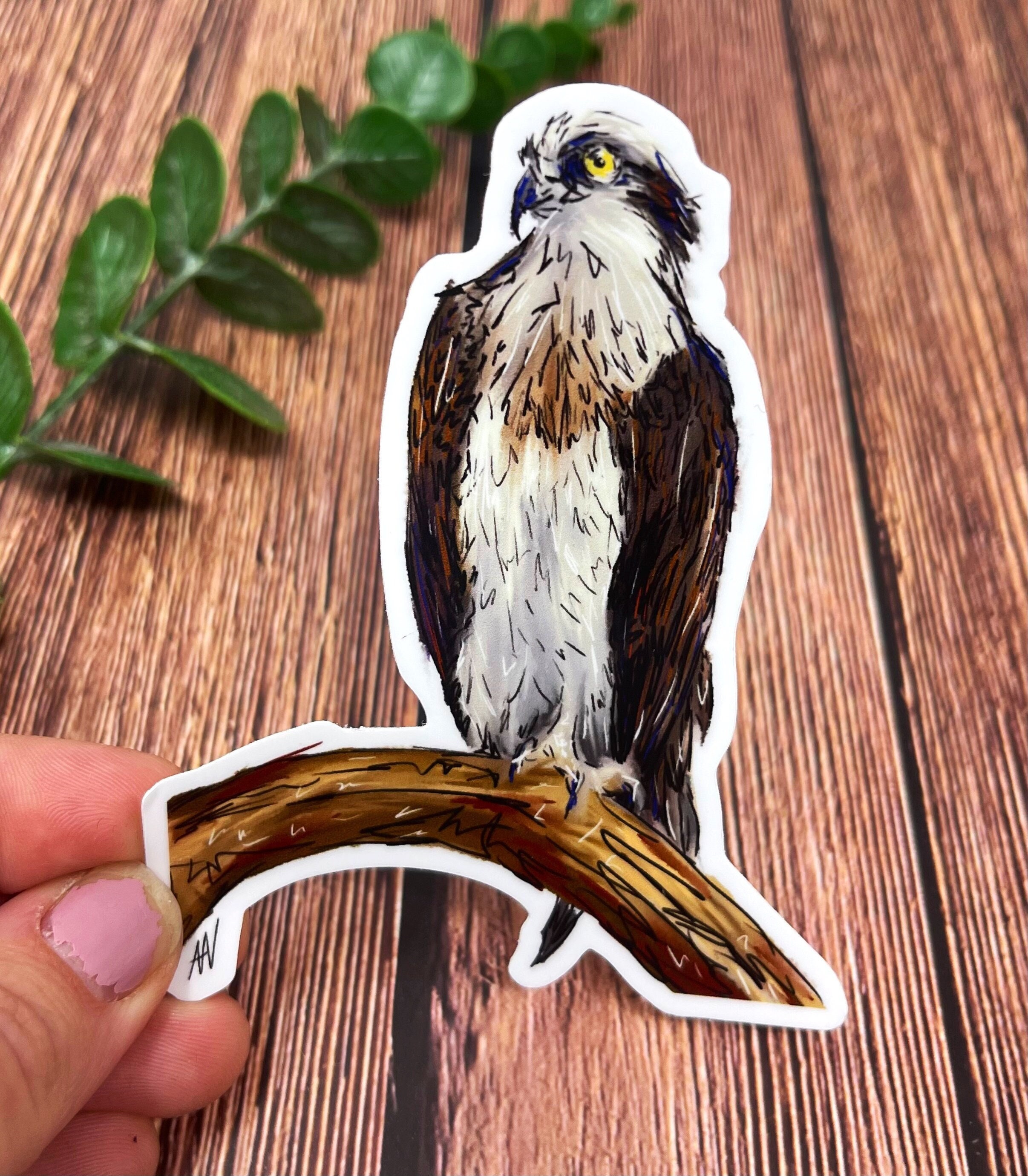 Osprey Vinyl Decal Sticker - Etsy