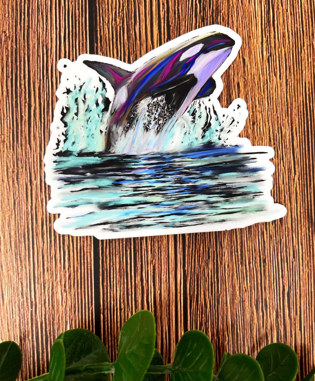 Orca Whale Sticker Vinyl Decal 4" Original Art & Illustration - Etsy