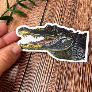 Alligator Sticker Vinyl Decal 4" Original Art & Illustration - Etsy