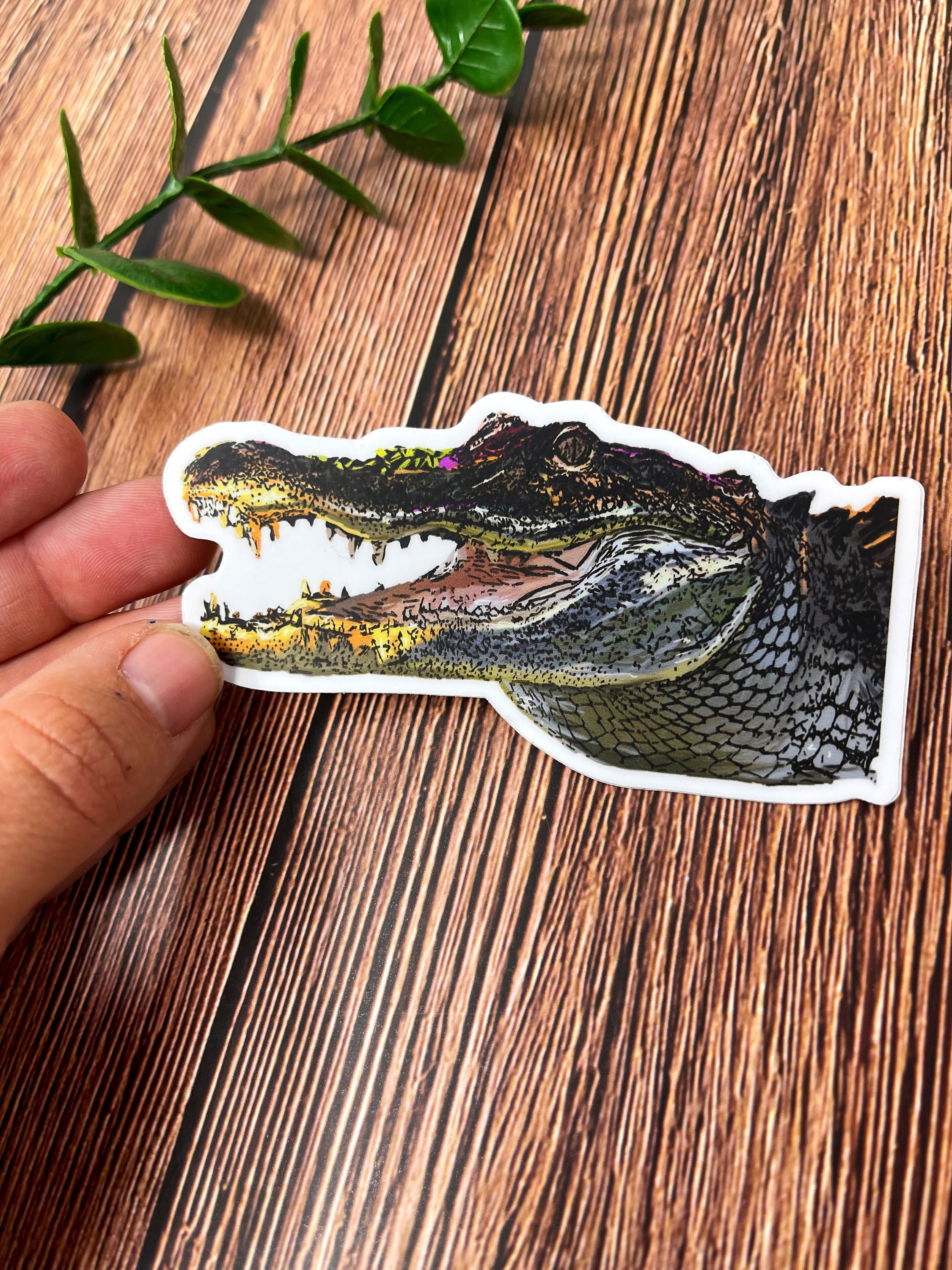 Alligator Sticker Vinyl Decal 4 Original Art & Illustration - Etsy