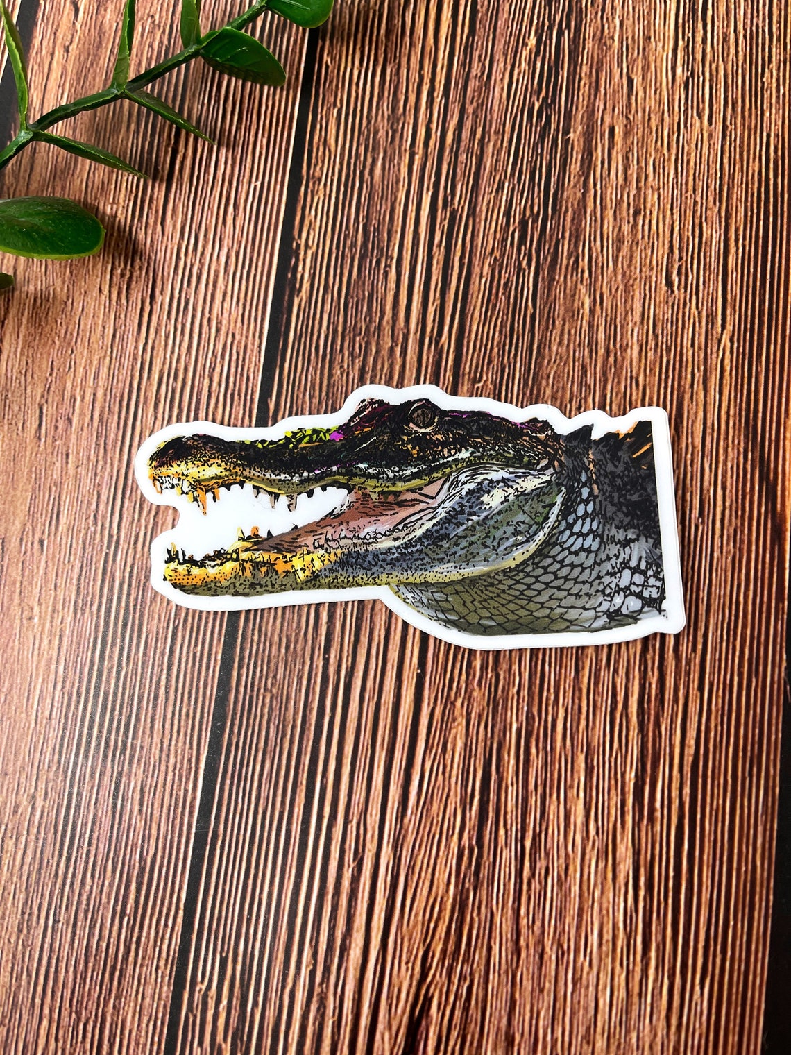 Alligator Sticker Vinyl Decal 4 Original Art & Illustration - Etsy