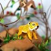 Printable DIY Mini Cheetah Paper Toy Educational Collectible Papercraft ...