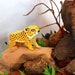Printable DIY Mini Cheetah Paper Toy Educational Collectible Papercraft ...