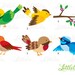 Little bird clipart Spring bird clipart 15087 | Etsy