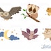 Nocturnal Animal - Night Animal Clipart - 22005 (including Black and ...