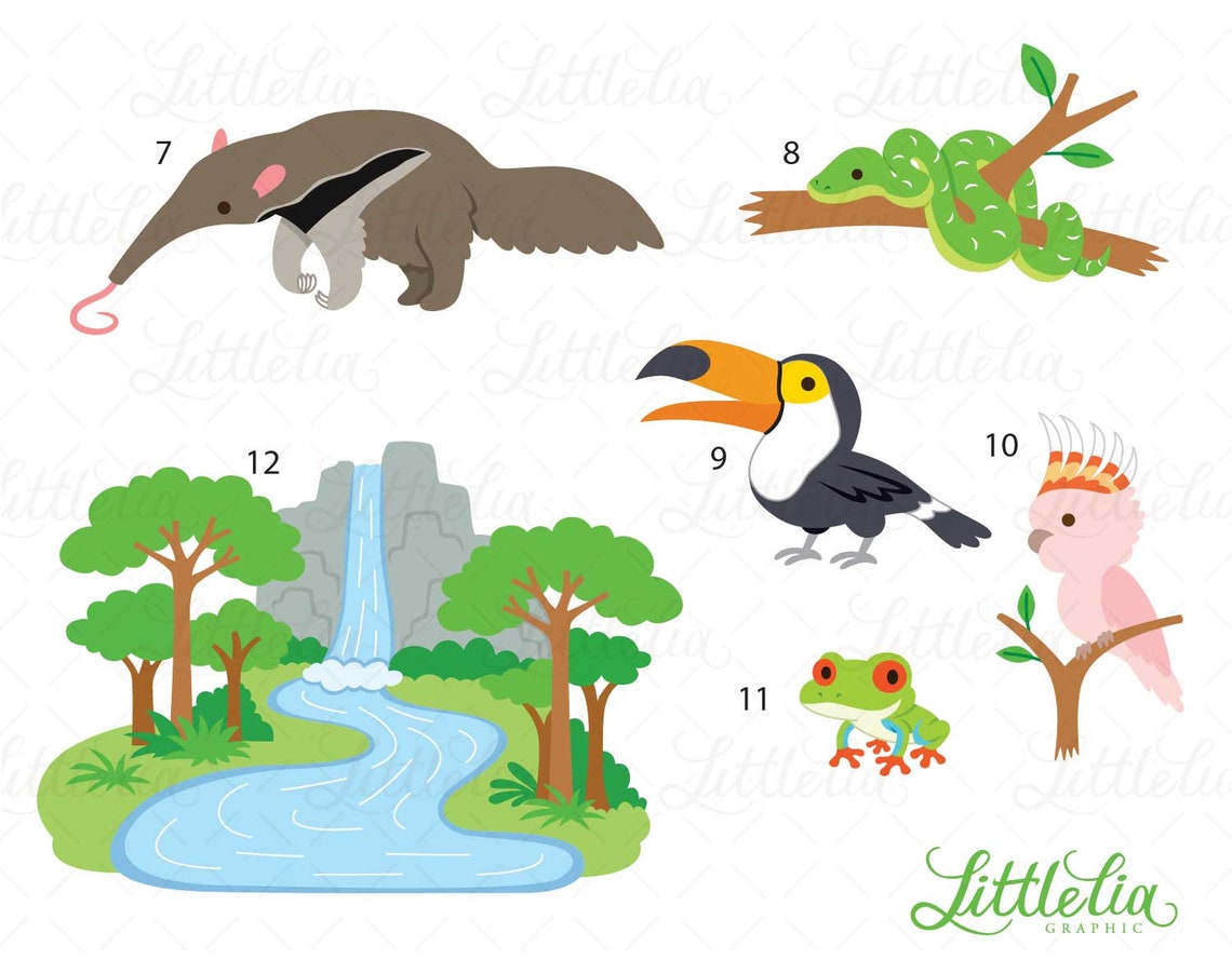 Rainforest Animal Clipart Exotic Animal 22003 including - Etsy