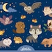 Nocturnal Animal - Night Animal Clipart - 22005 (including Black and ...