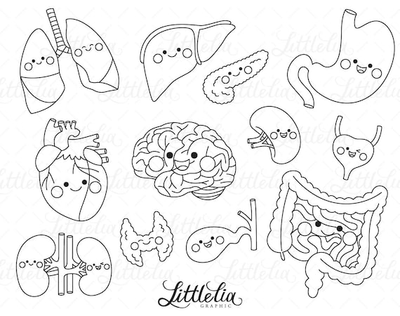 Human Body Clipart Black And White