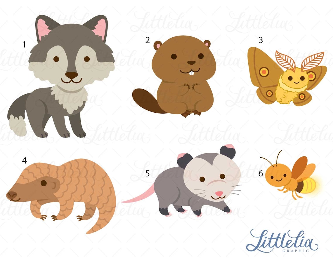 Nocturnal Animal Night Animal Clipart 22005 | Etsy