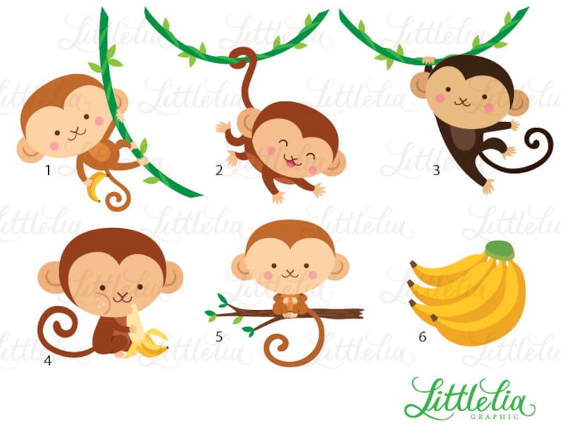 Monkey Cute Clipart Jungle Clipart 16018 - Etsy